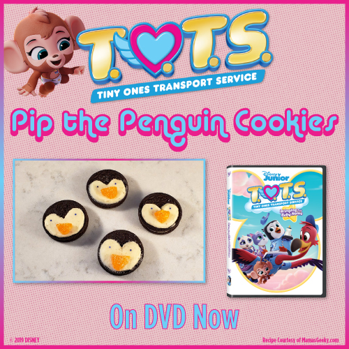 T.O.T.S.: Bringing This Baby Home adorable Craft and Recipe! – SKGaleana